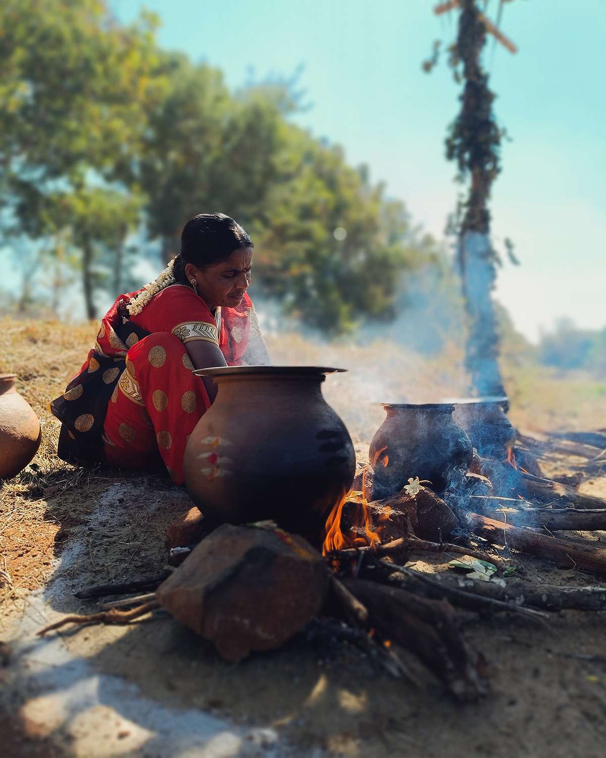 Experience the Joy of Harvest Festival with Kiru Millet Sankranti